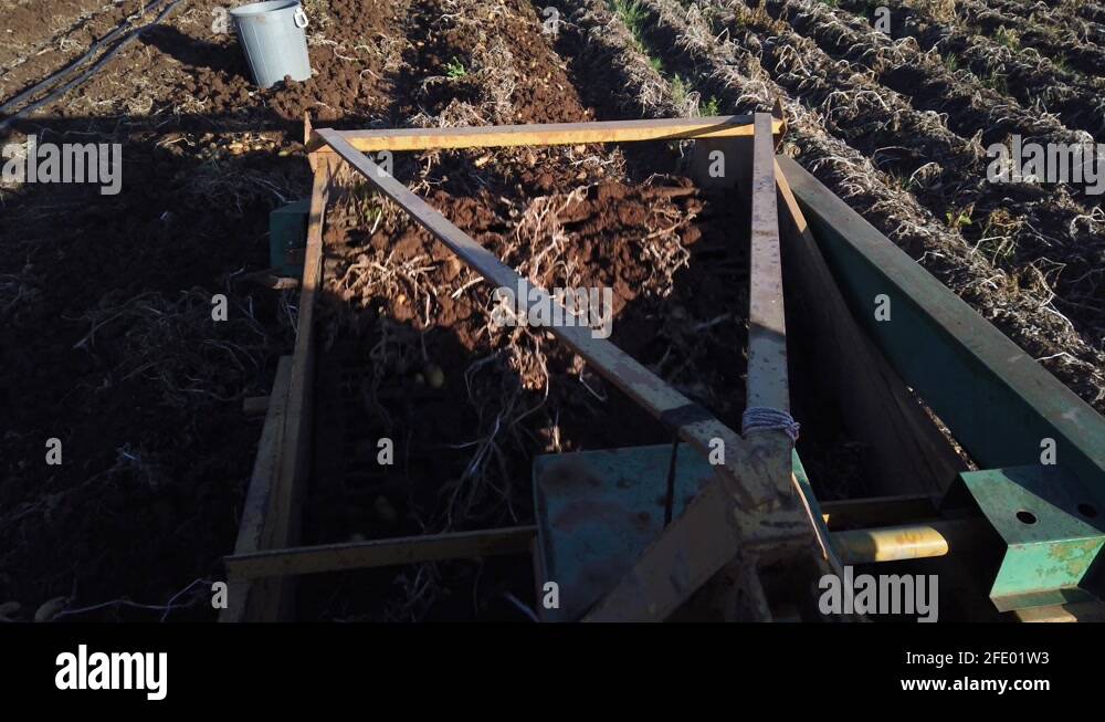 Digging back view Stock Videos & Footage - HD and 4K Video Clips - Alamy