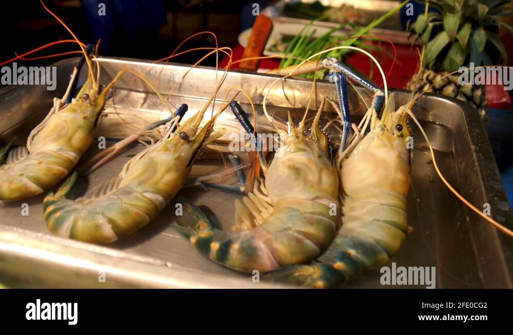 Fresh Prawn at a night market street food in Thailand Stock Video ...