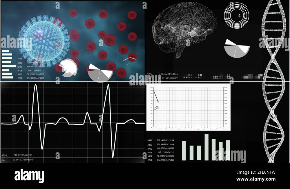 Microscopic structure of the brain Stock Videos & Footage - HD and 4K ...