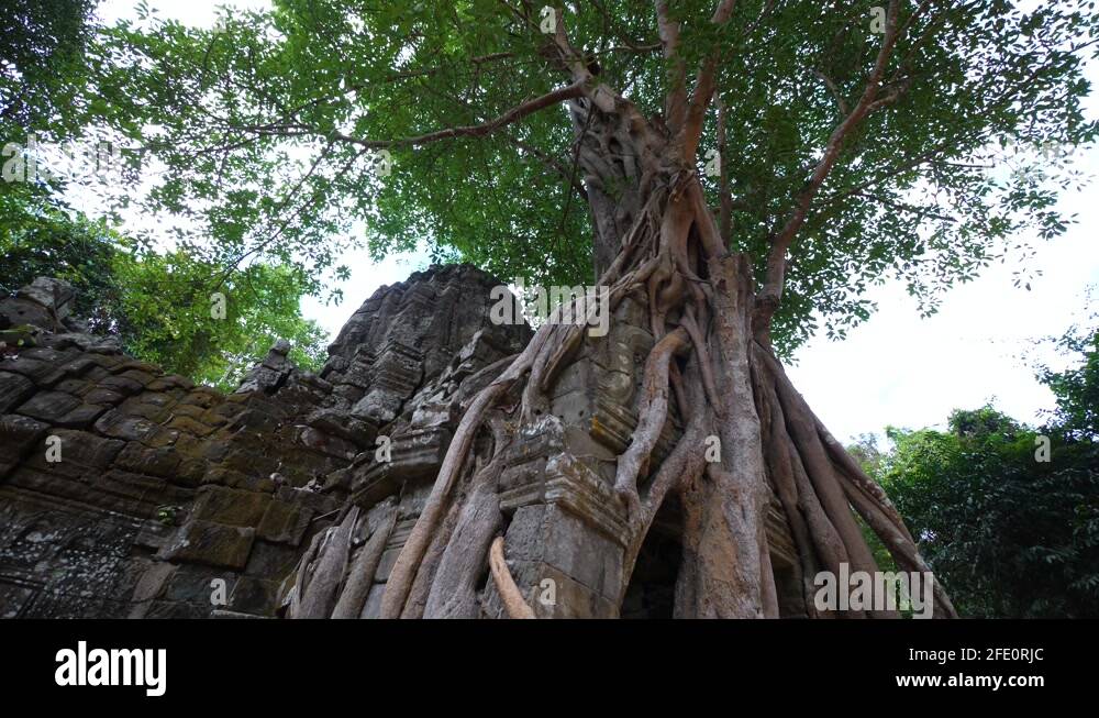 Roots temple Stock Videos & Footage - HD and 4K Video Clips - Alamy