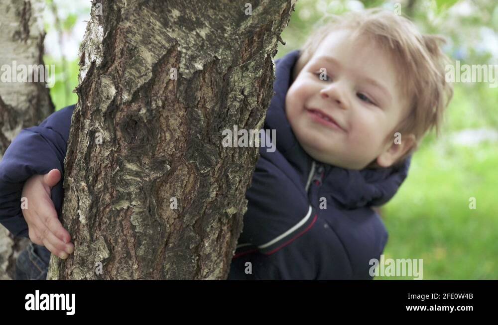 Boy touching tree in forest Stock Videos & Footage - HD and 4K Video ...