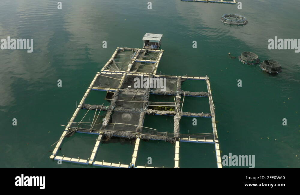Roof grid structure Stock Videos & Footage - HD and 4K Video Clips - Alamy
