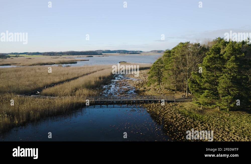 Marshland reed Stock Videos & Footage - HD and 4K Video Clips - Alamy