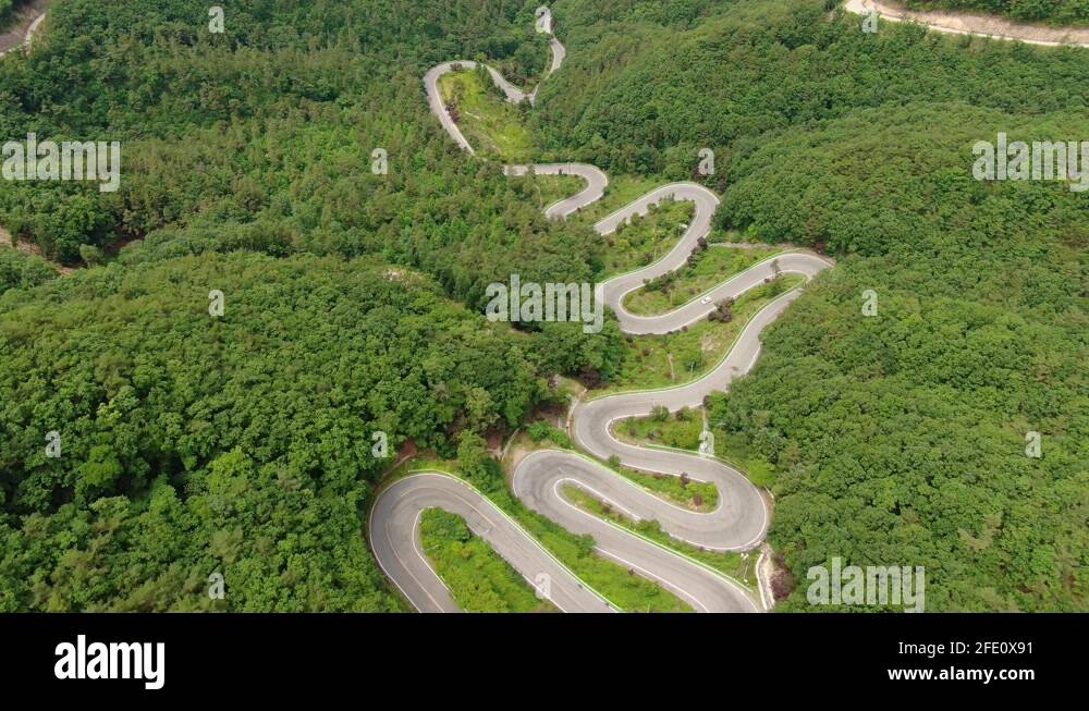 Winding snakes Stock Videos & Footage - HD and 4K Video Clips - Alamy