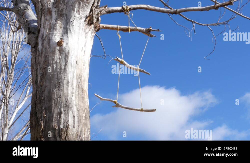 Relaxation scene, tree ladder hanging from a tree, peaceful moment ...