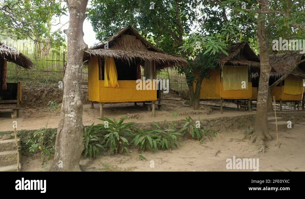 Island thatch roof Stock Videos & Footage - HD and 4K Video Clips - Alamy