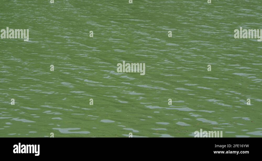 Green lake color Stock Videos & Footage - HD and 4K Video Clips - Alamy
