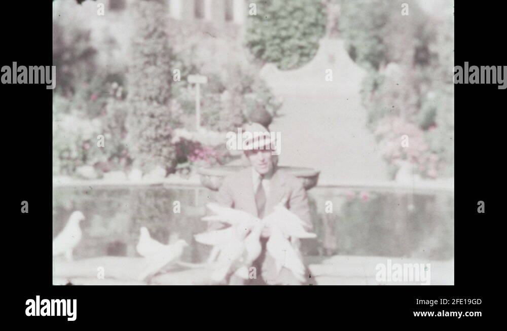 Man eating birds Stock Videos & Footage - HD and 4K Video Clips - Alamy