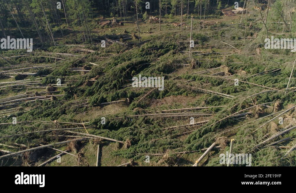 Which caused a strong wind Stock Videos & Footage - HD and 4K Video ...