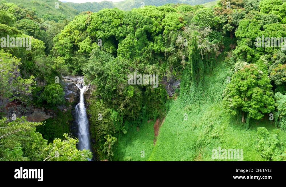 Hawaii tour guide Stock Videos & Footage - HD and 4K Video Clips - Alamy
