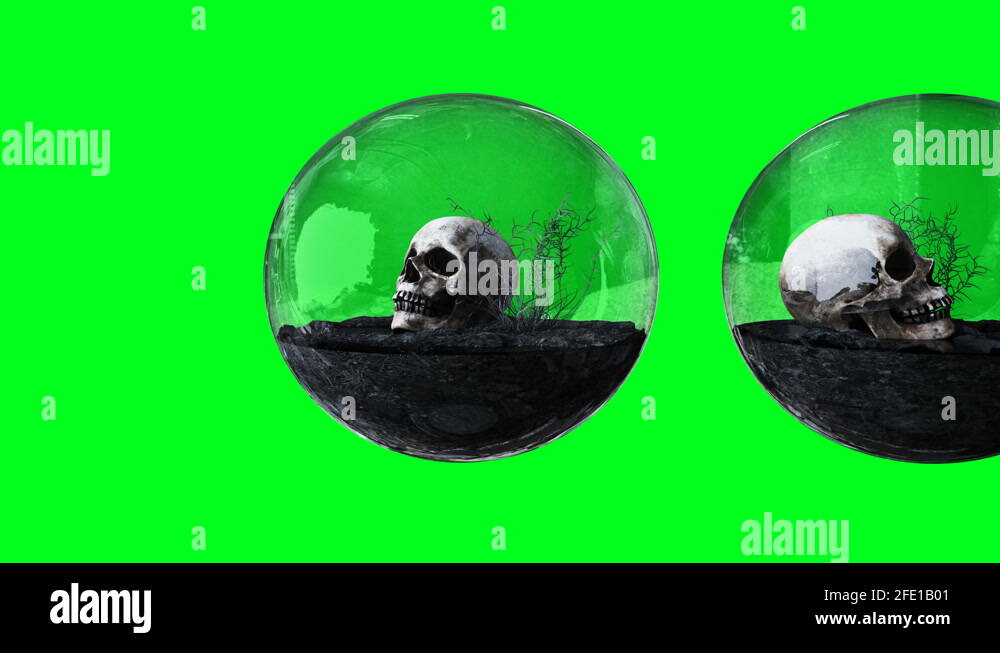 human skull in glass sphere. Isolate. Ecology concept. 4k animation ...