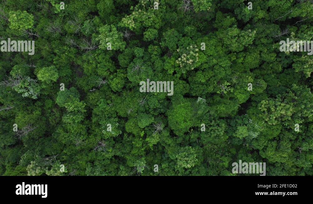 Angola and guatemala Stock Videos & Footage - HD and 4K Video Clips - Alamy