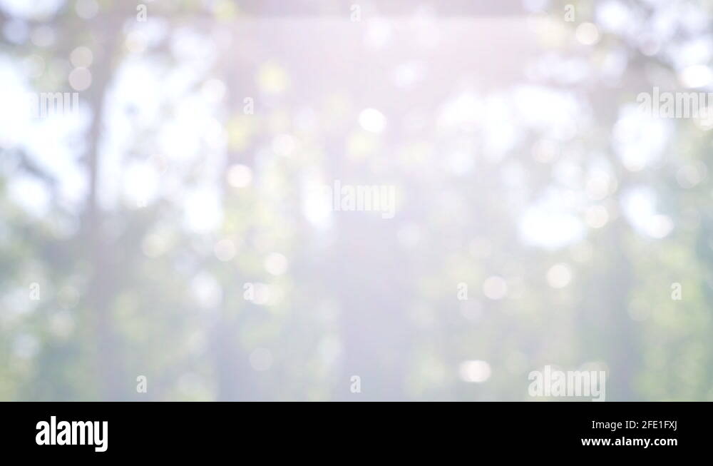 Focus the lens canada Stock Videos & Footage - HD and 4K Video Clips ...