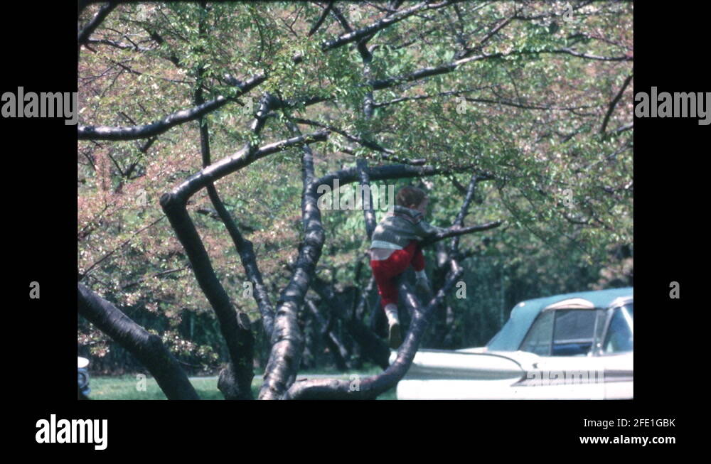 Drive in movie cars 1960's Stock Videos & Footage - HD and 4K Video ...