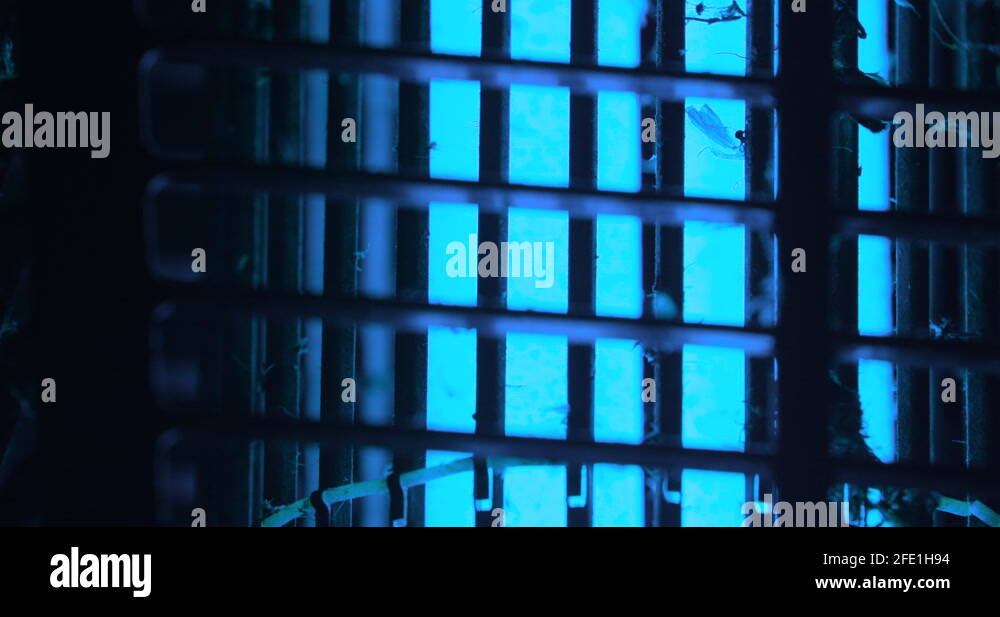 Electricity electrocuted electrocution Stock Videos & Footage - HD and ...