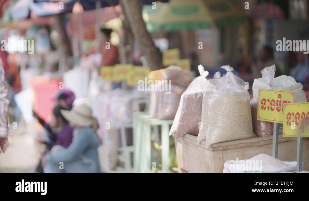 Rice varieties Stock Videos & Footage - HD and 4K Video Clips - Alamy