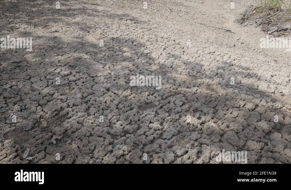 Droughts consequence Stock Videos & Footage - HD and 4K Video Clips - Alamy