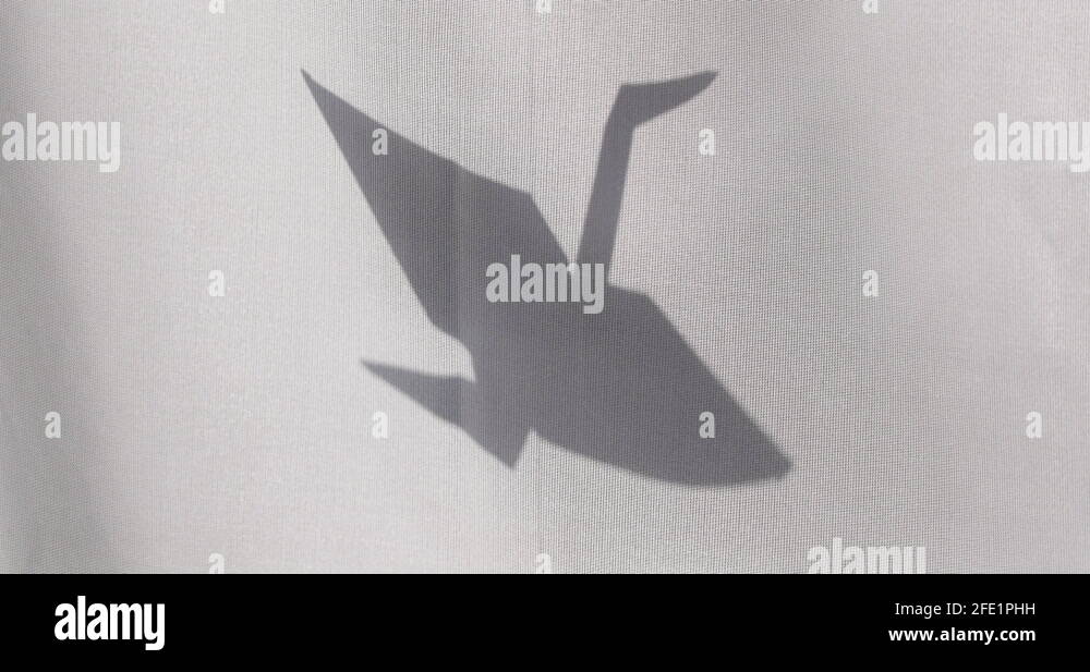 Origami shadow Stock Videos & Footage - HD and 4K Video Clips - Alamy