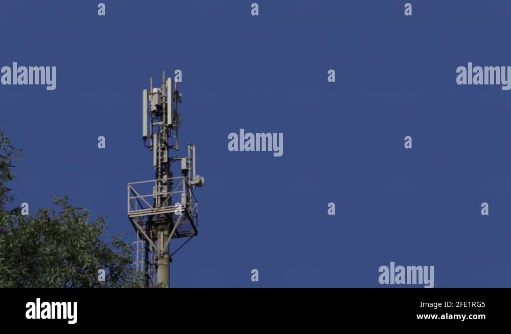 Cell tree cell phone antennas Stock Videos & Footage - HD and 4K Video ...