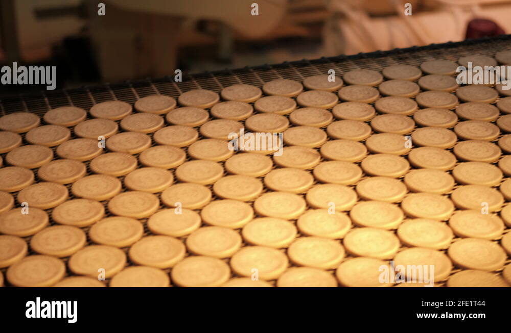 Biscuits on a conveyor belt inside factory, cookies rolling by, food ...