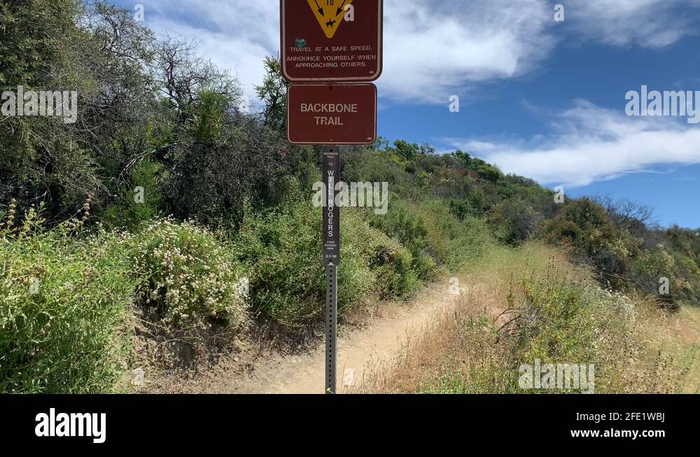 Backbone Stock Videos & Footage - HD and 4K Video Clips - Alamy