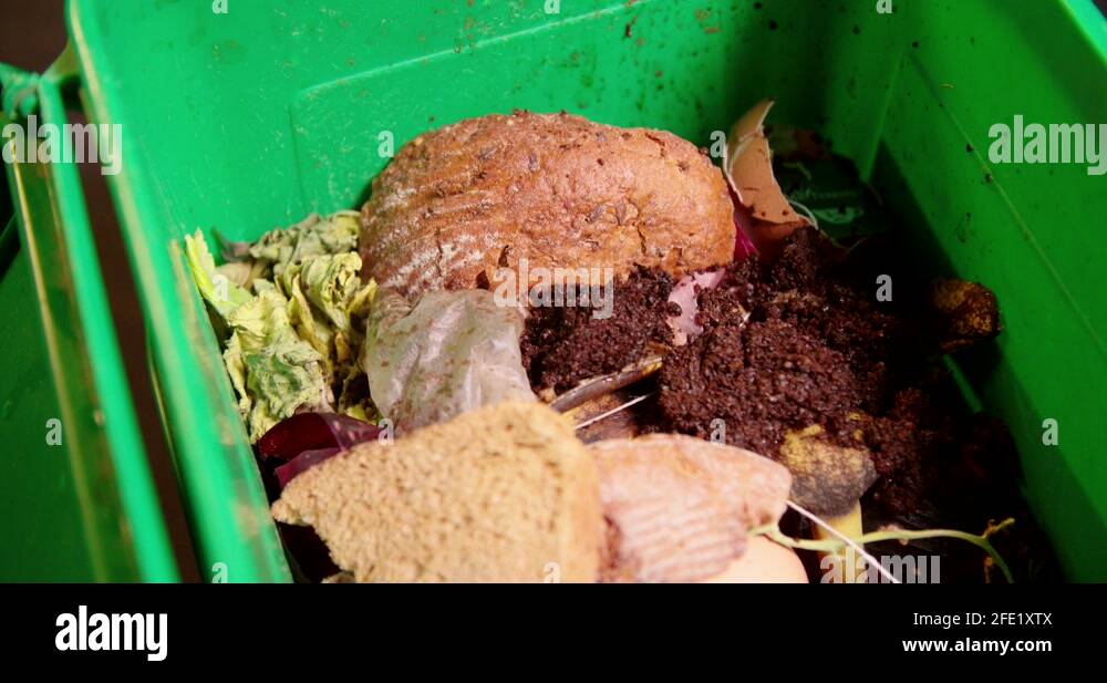 Green kitchen waste Stock Videos & Footage - HD and 4K Video Clips - Alamy