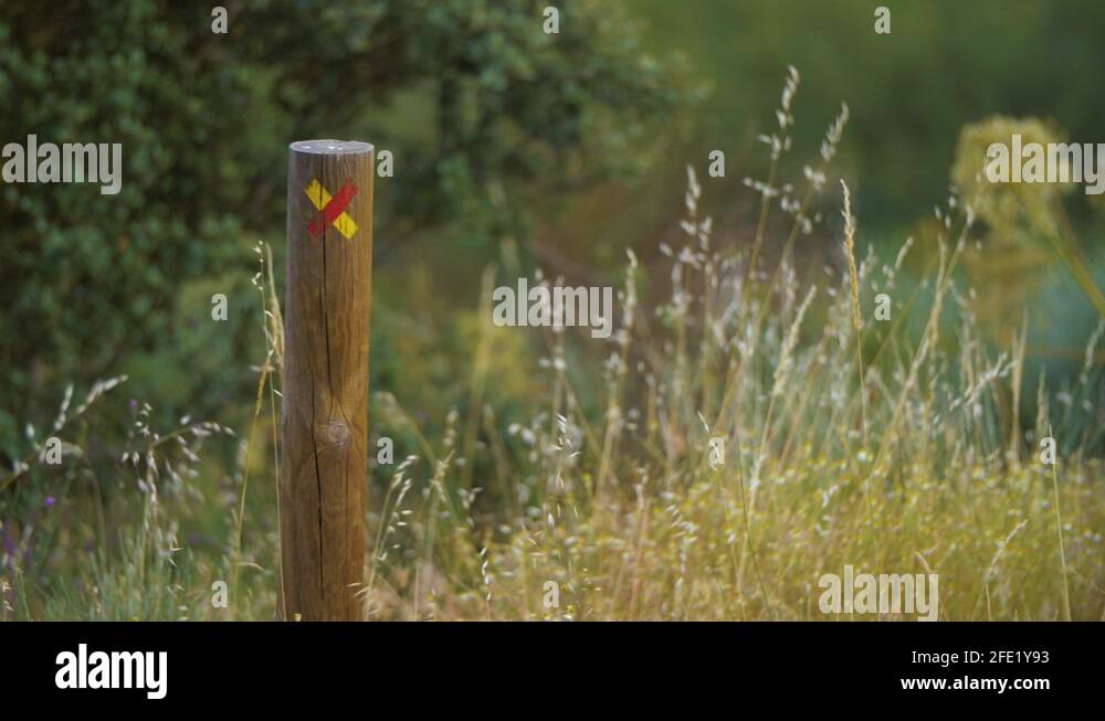 Trail marking Stock Videos & Footage - HD and 4K Video Clips - Alamy