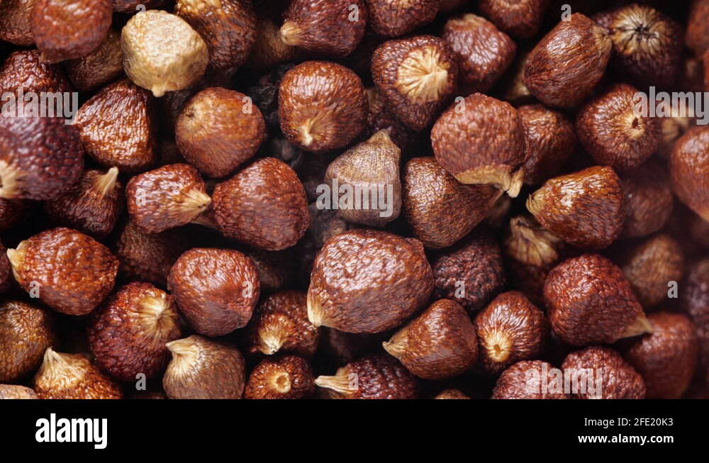 Mahlab seed Stock Videos & Footage - HD and 4K Video Clips - Alamy