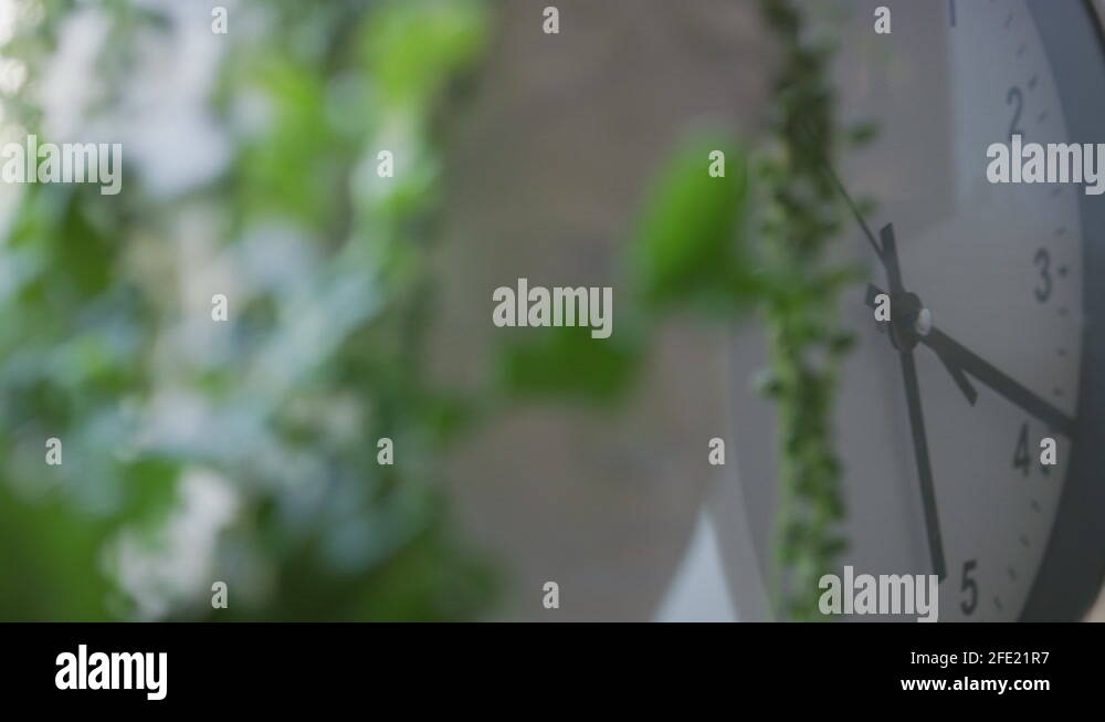 Plants next to computer Stock Videos & Footage - HD and 4K Video Clips ...