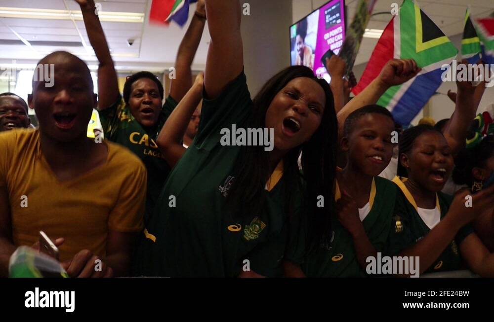 Springboks welcomed by fans in Cape Town Stock Video Footage - Alamy