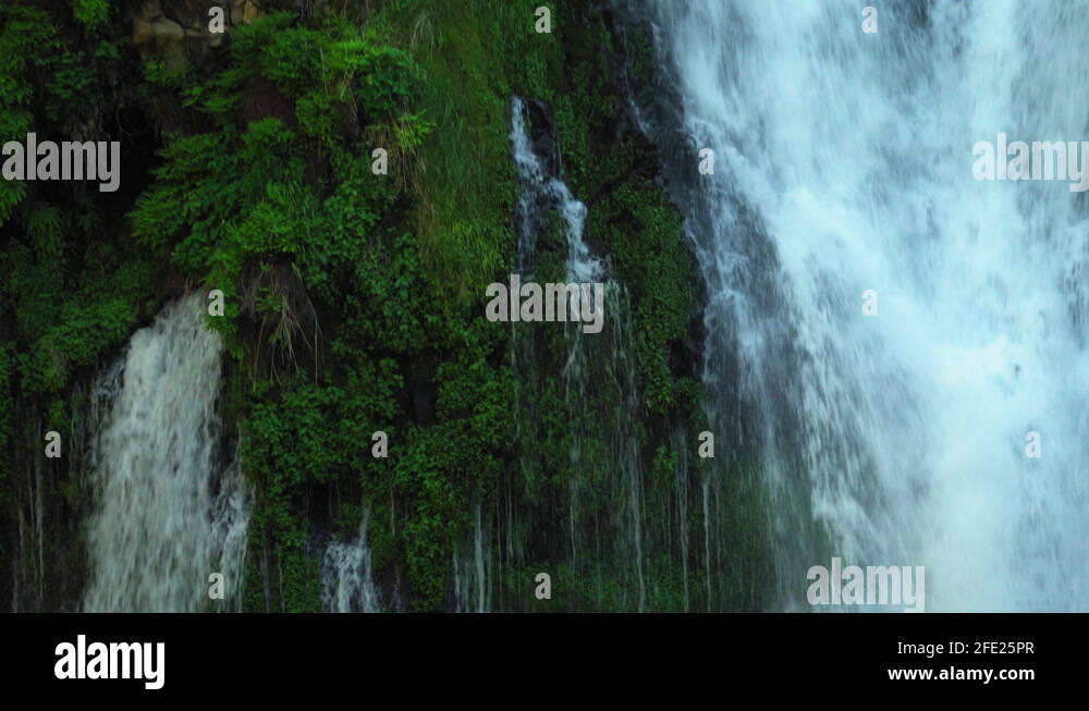 Jungle water Stock Videos & Footage - HD and 4K Video Clips - Alamy
