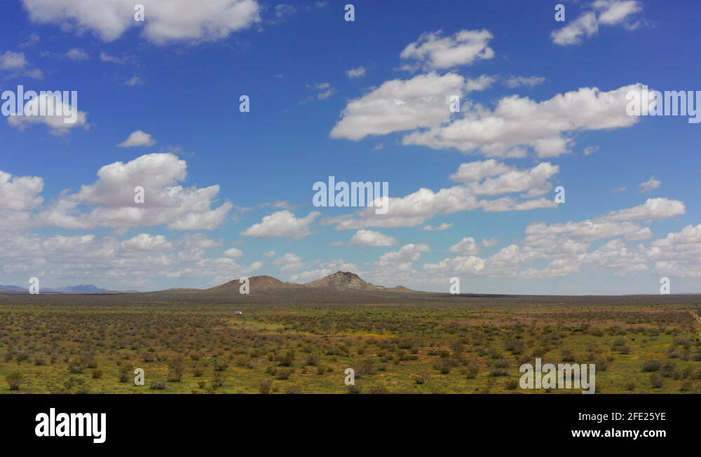 Flourishing plant Stock Videos & Footage - HD and 4K Video Clips - Alamy