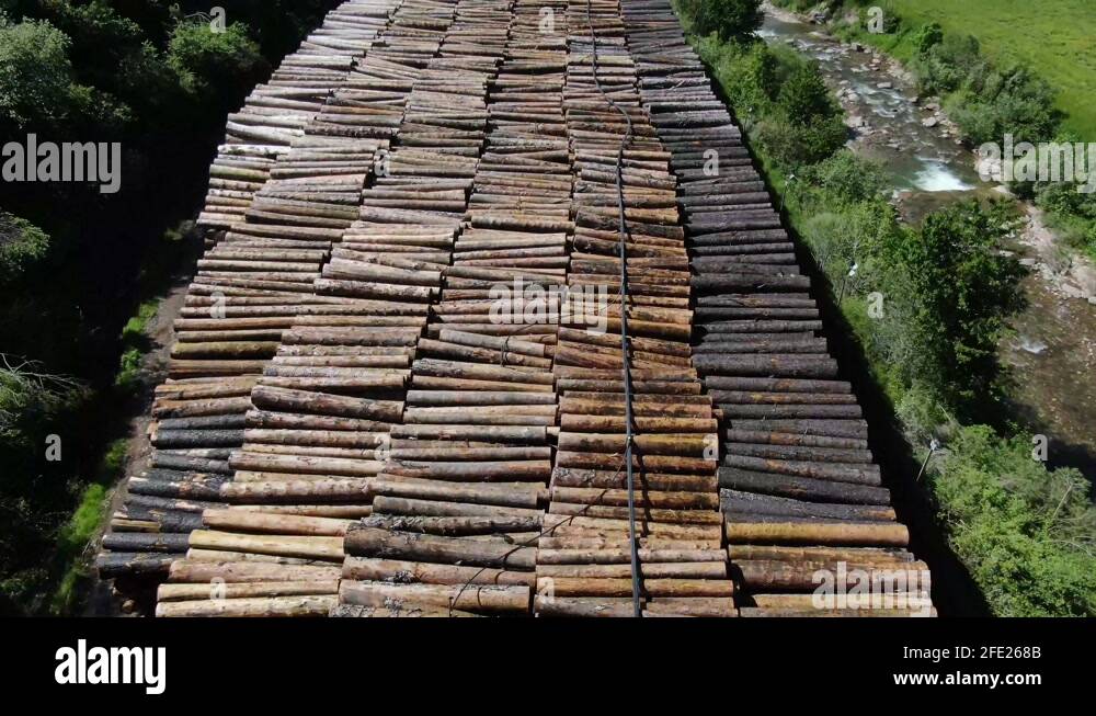 Stack of trees Stock Videos & Footage - HD and 4K Video Clips - Alamy