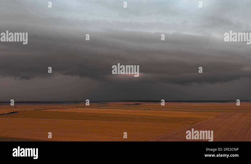 Cereal plain Stock Videos & Footage - HD and 4K Video Clips - Alamy