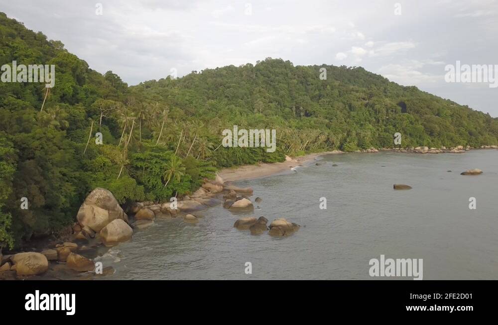 Coconut trees at coastline Permatang Damar Laut, Penang, Malaysia Stock ...