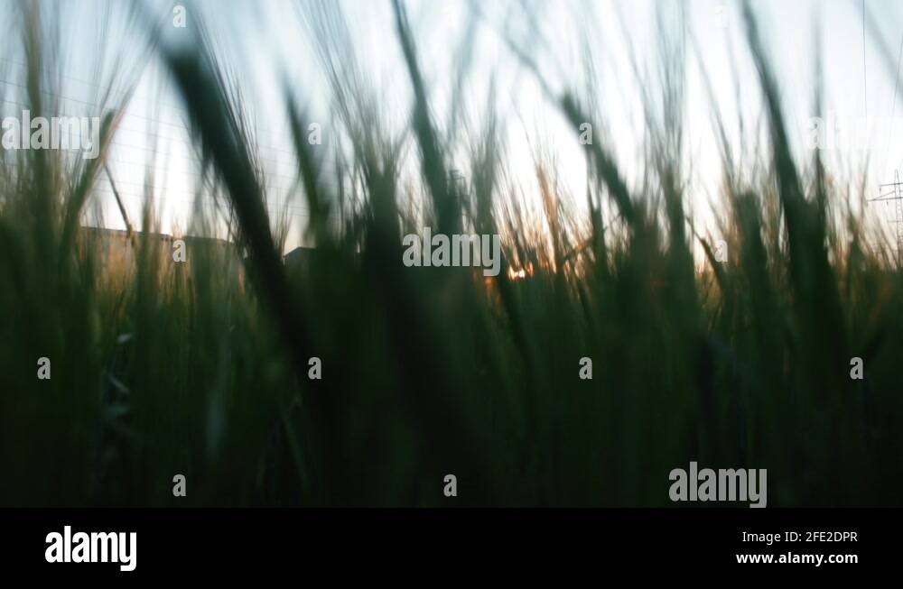 Isolation area do not enter Stock Videos & Footage - HD and 4K Video ...