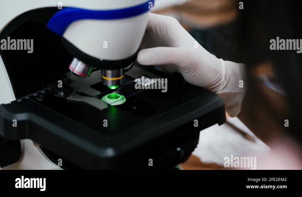 Scientists to rotate the lens of a microscope with slide and green ...