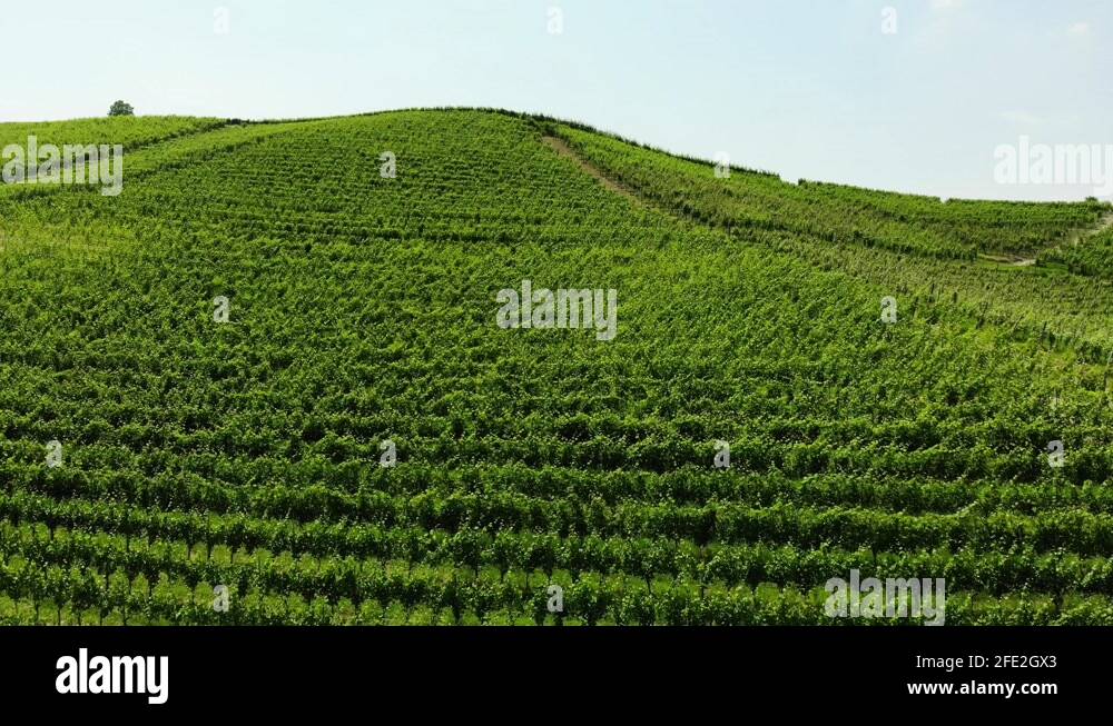 Slowly lift up Stock Videos & Footage - HD and 4K Video Clips - Alamy