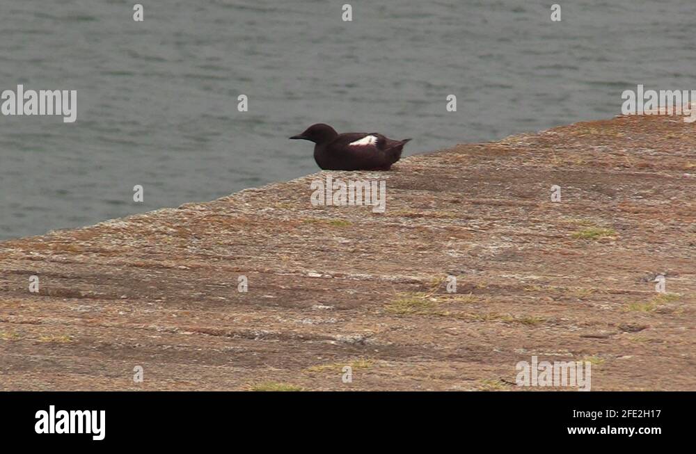 Seating wall Stock Videos & Footage - HD and 4K Video Clips - Alamy