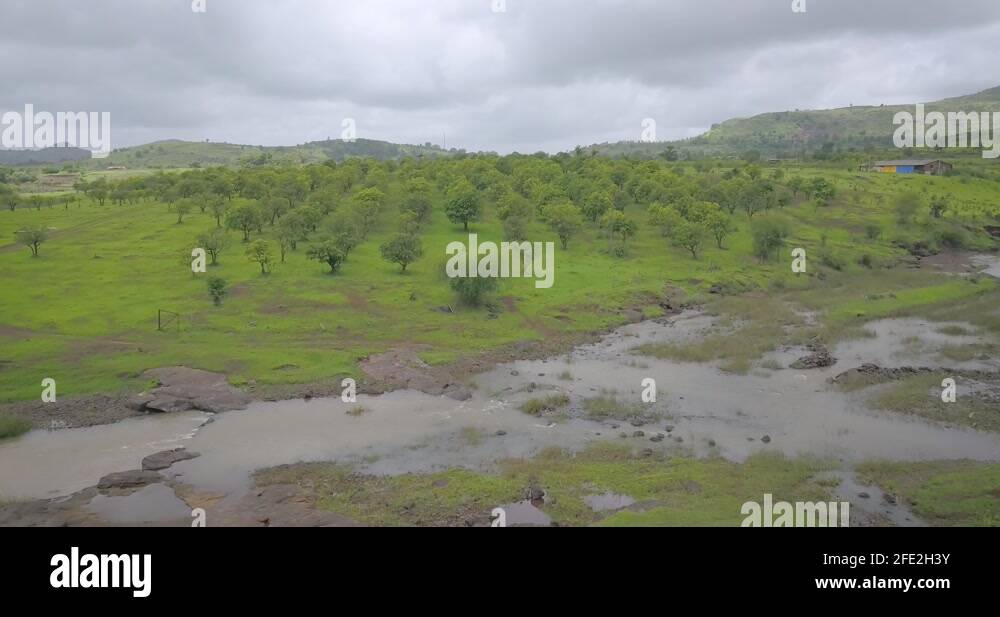 Tree cultivation in rural Western Ghats, Maharashtra, India, Aerial ...