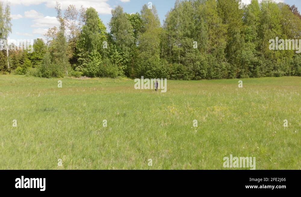 Courland Stock Videos & Footage - HD and 4K Video Clips - Alamy