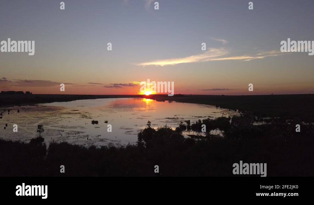 River in amazon rainforest dusk Stock Videos & Footage - HD and 4K ...