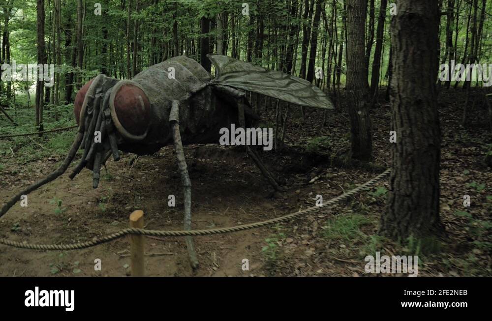 Giant statue forest Stock Videos & Footage - HD and 4K Video Clips - Alamy
