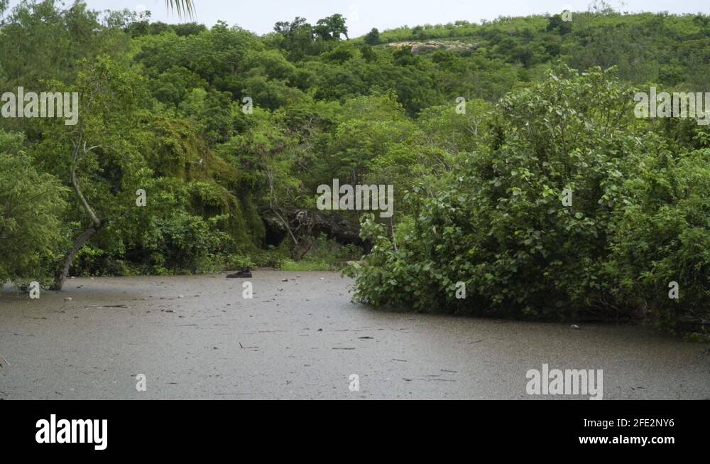 Muddy stinky Stock Videos & Footage - HD and 4K Video Clips - Alamy