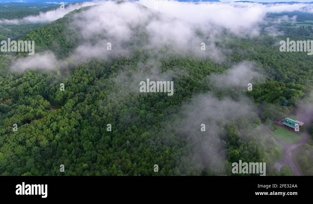 Low key bird Stock Videos & Footage - HD and 4K Video Clips - Alamy