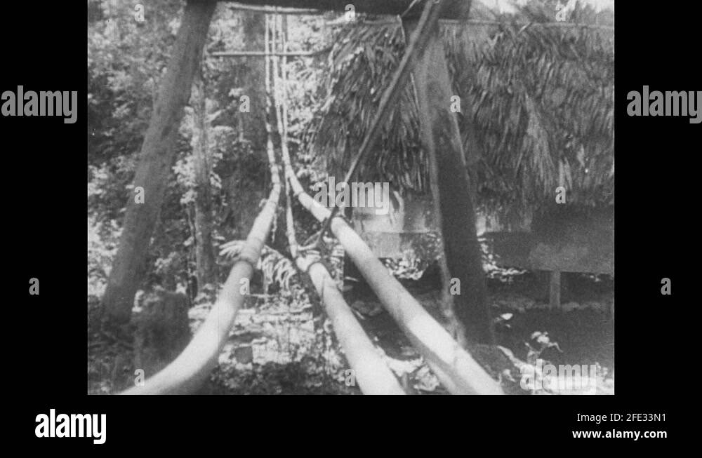 1940s: Pipeline in jungle. Workers on hillside with tractors moving ...