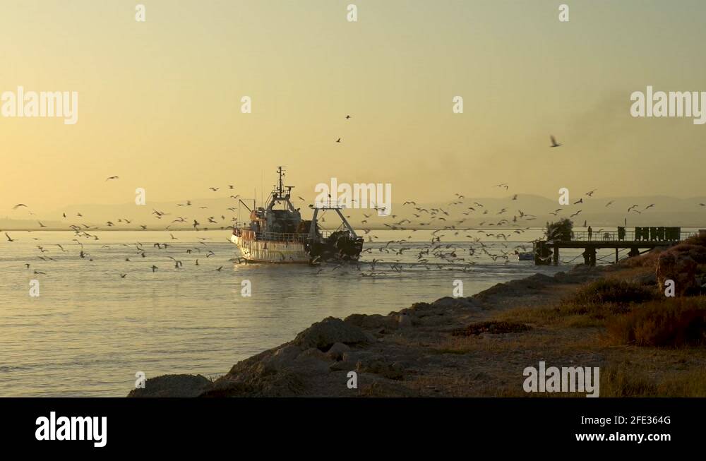 Free downloads Stock Videos & Footage - HD and 4K Video Clips - Alamy