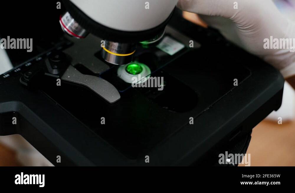 Light microscope slide Stock Videos & Footage - HD and 4K Video Clips ...