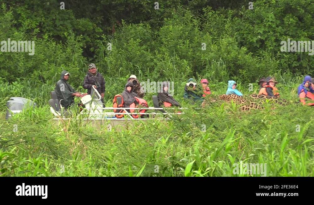 Ecotourism people Stock Videos & Footage - HD and 4K Video Clips - Alamy