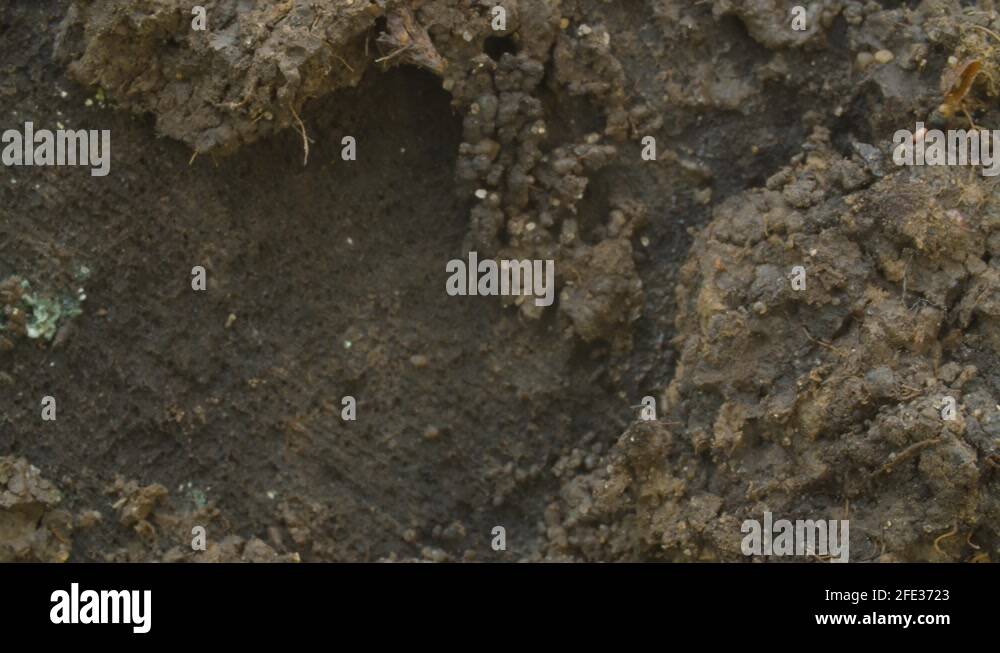 Soil wallpaper Stock Videos & Footage - HD and 4K Video Clips - Alamy